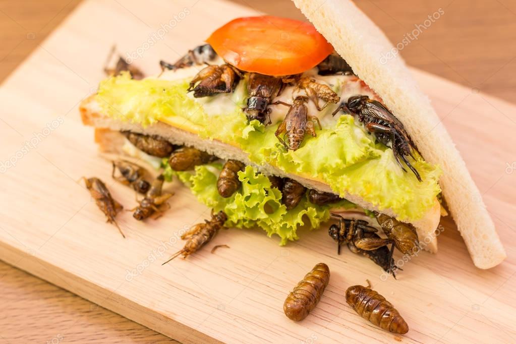 Sandwich made of fried insect meat and mozzarella cheese, Stock Photo ...