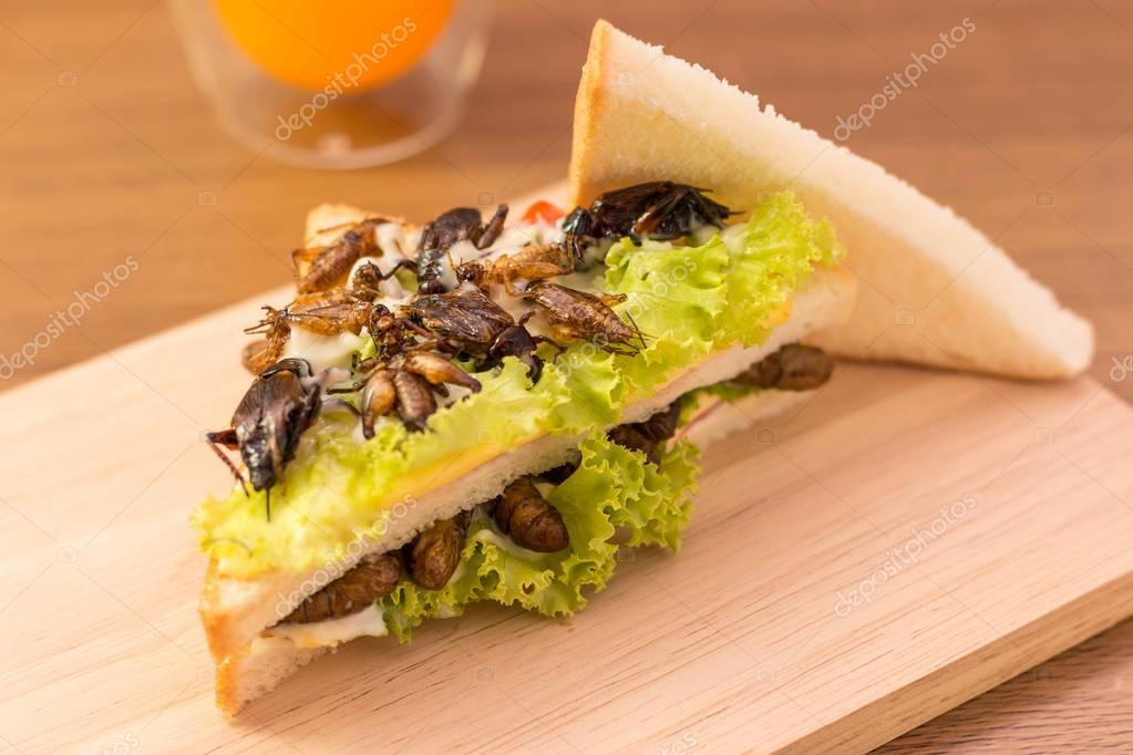 Sandwich hecho de carne de insecto frito y queso mozzarella , — Foto de ...