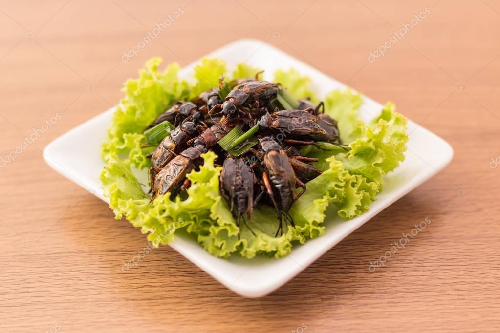 Fried insects - Cricket insect crispy with pandan after fried — Stock ...