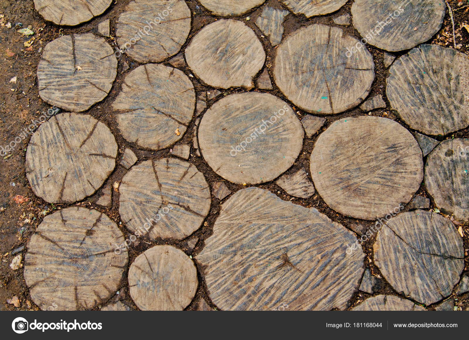 Garden path way from cut stumps, walkway of cross section of tree ...