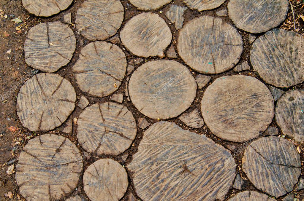 Cut log walkway | Garden path way from cut stumps, walkway of cross ...