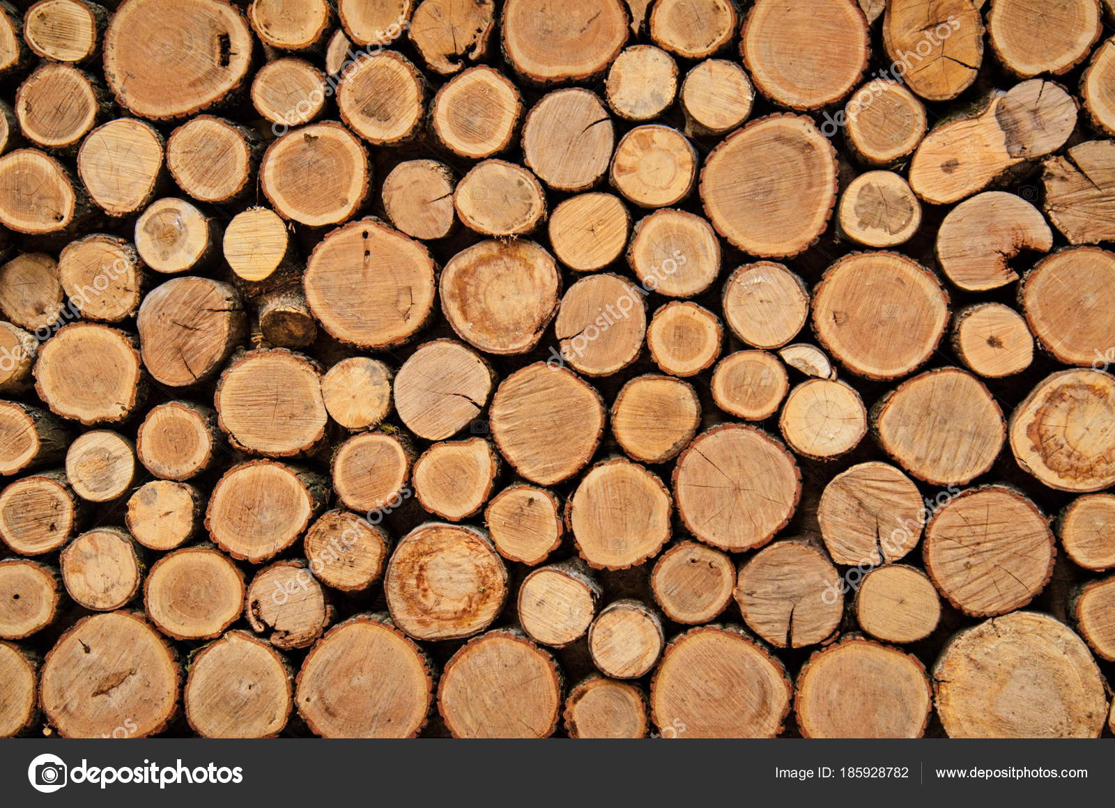 Fondo de troncos de árboles, fondo de madera natural: fotografía de ...