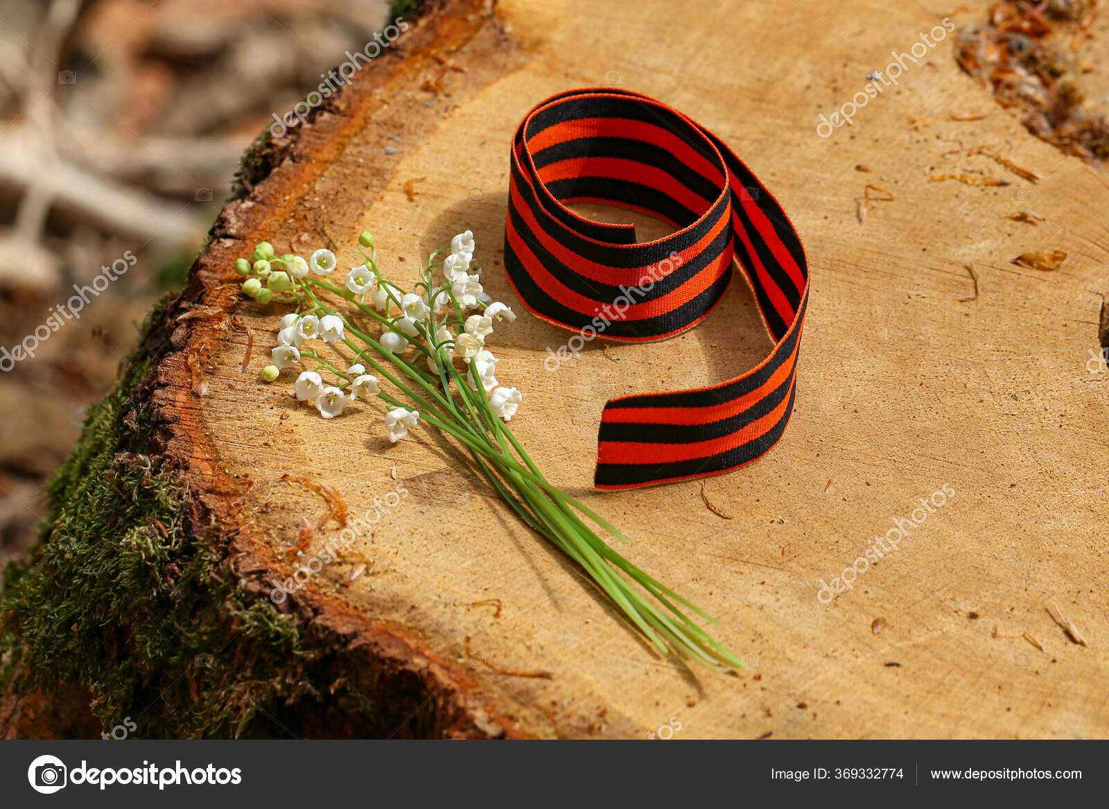 Victory Day Arrangement George Ribbon Form Number Nine Stock Photo by ...