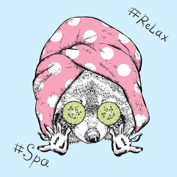 Un mapache divertido en una toalla y pepinos. Ilustración vectorial de ...