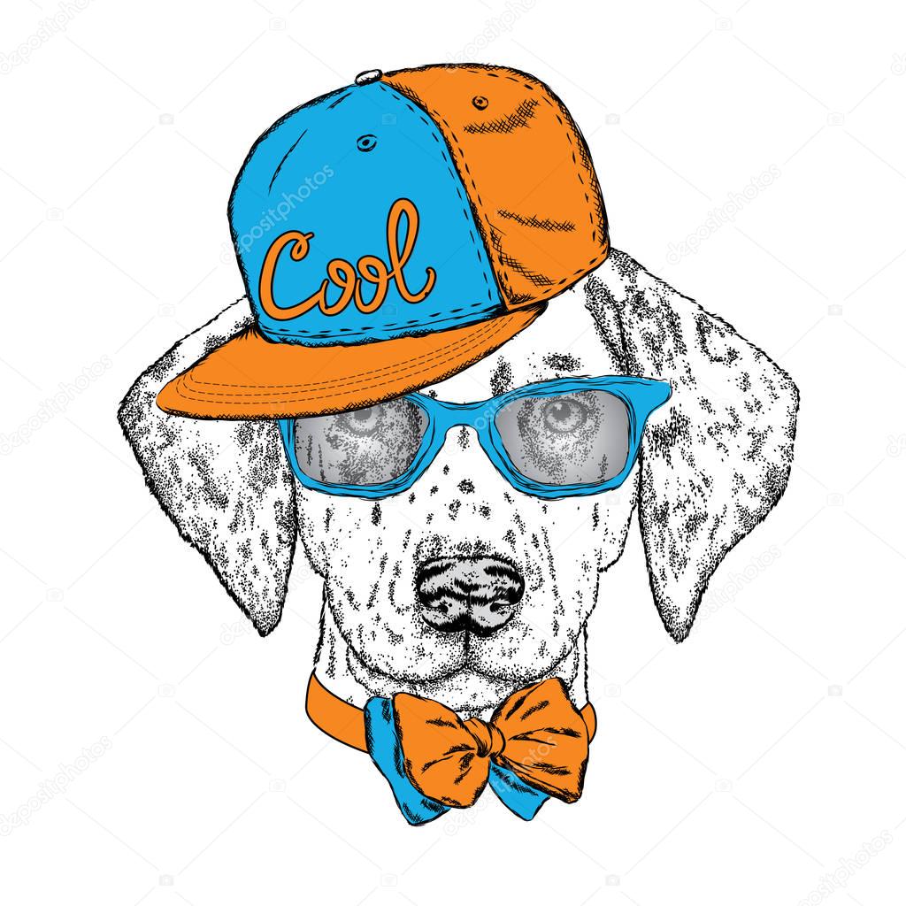 Hermoso perro con gafas, gorra y corbata. Ilustración vectorial. Lindos ...