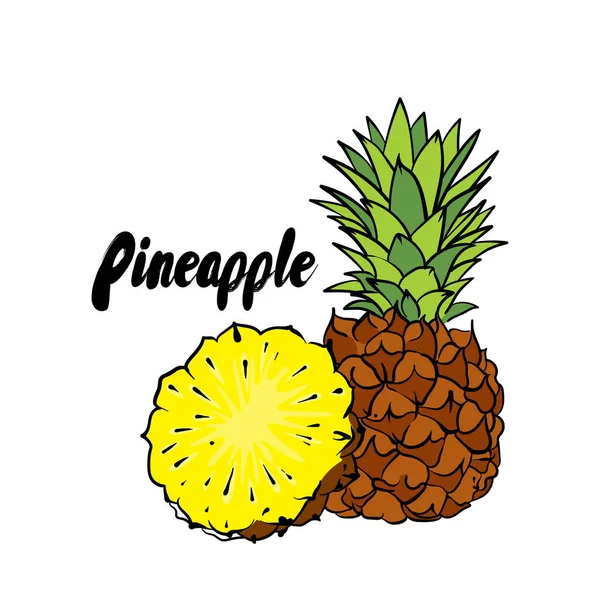 A set of fruits. Vector illustration with coconut, pineapple, bananas ...