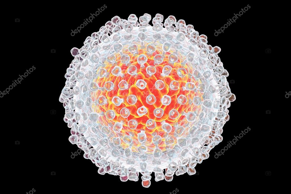 Hepatitis C Virus Microscope