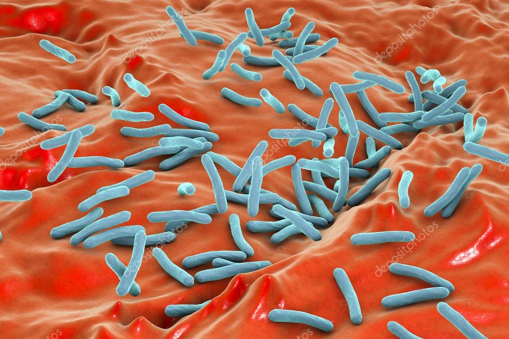 Bacteria Mycobacterium tuberculosis Stock Photo by ©katerynakon 124989534