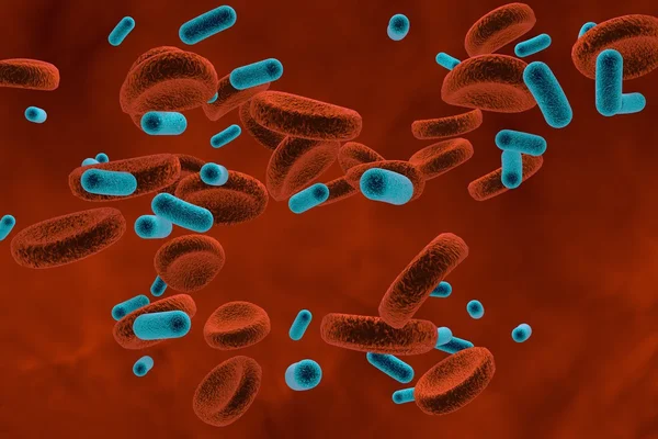 Bacteria in blood, bacteriemia — Stock Photo © katerynakon #125212666