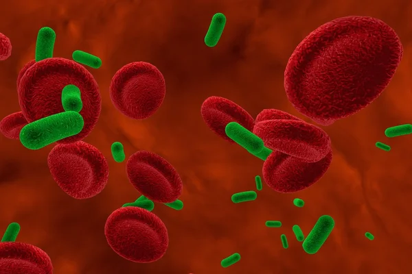 Bacteria in blood, bacteriemia — Stock Photo © katerynakon #125212666