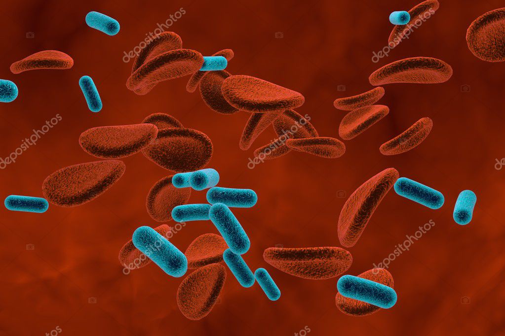 Bacteria in blood, bacteriemia Stock Photo by ©katerynakon 125061852