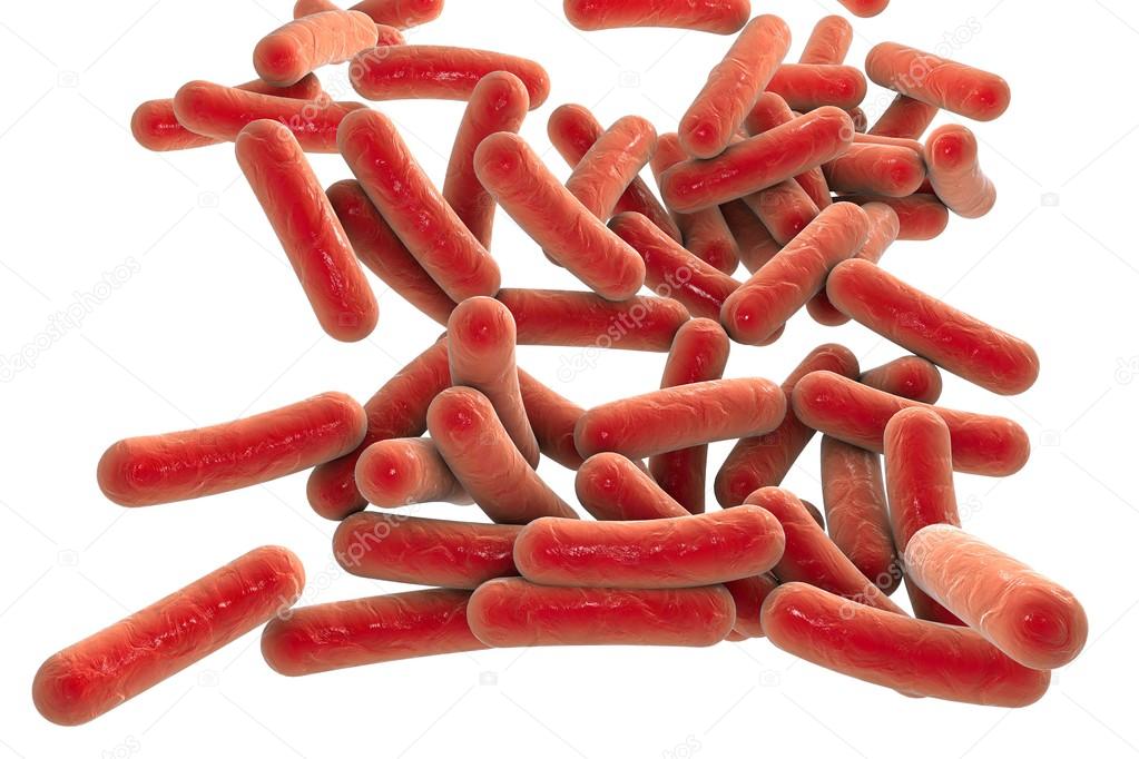 Rod shaped bacteria Stock Photo by ©katerynakon 125300896
