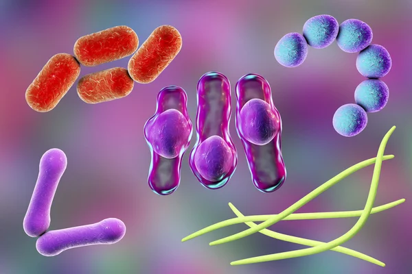 Mikroba dengan bentuk yang berbeda — Foto Stok © katerynakon #125312656