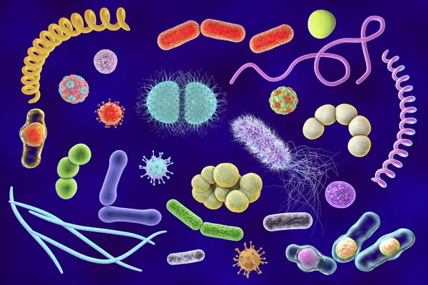 Microbes of different shapes Stock Photo by ©katerynakon 125314606
