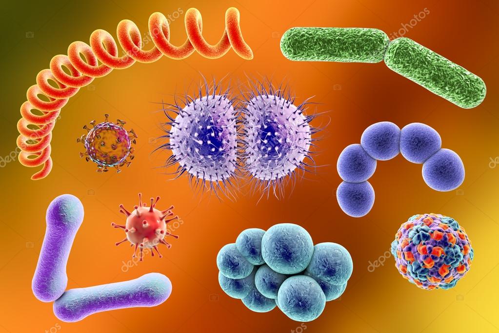 Microbes of different shapes Stock Photo by ©katerynakon 125312656