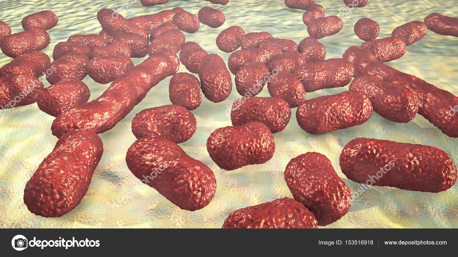 Bacteria Acinetobacter baumannii: fotografía de stock © katerynakon ... Bacteria Acinetobacter baumannii: fotografía de stock © katerynakon ...