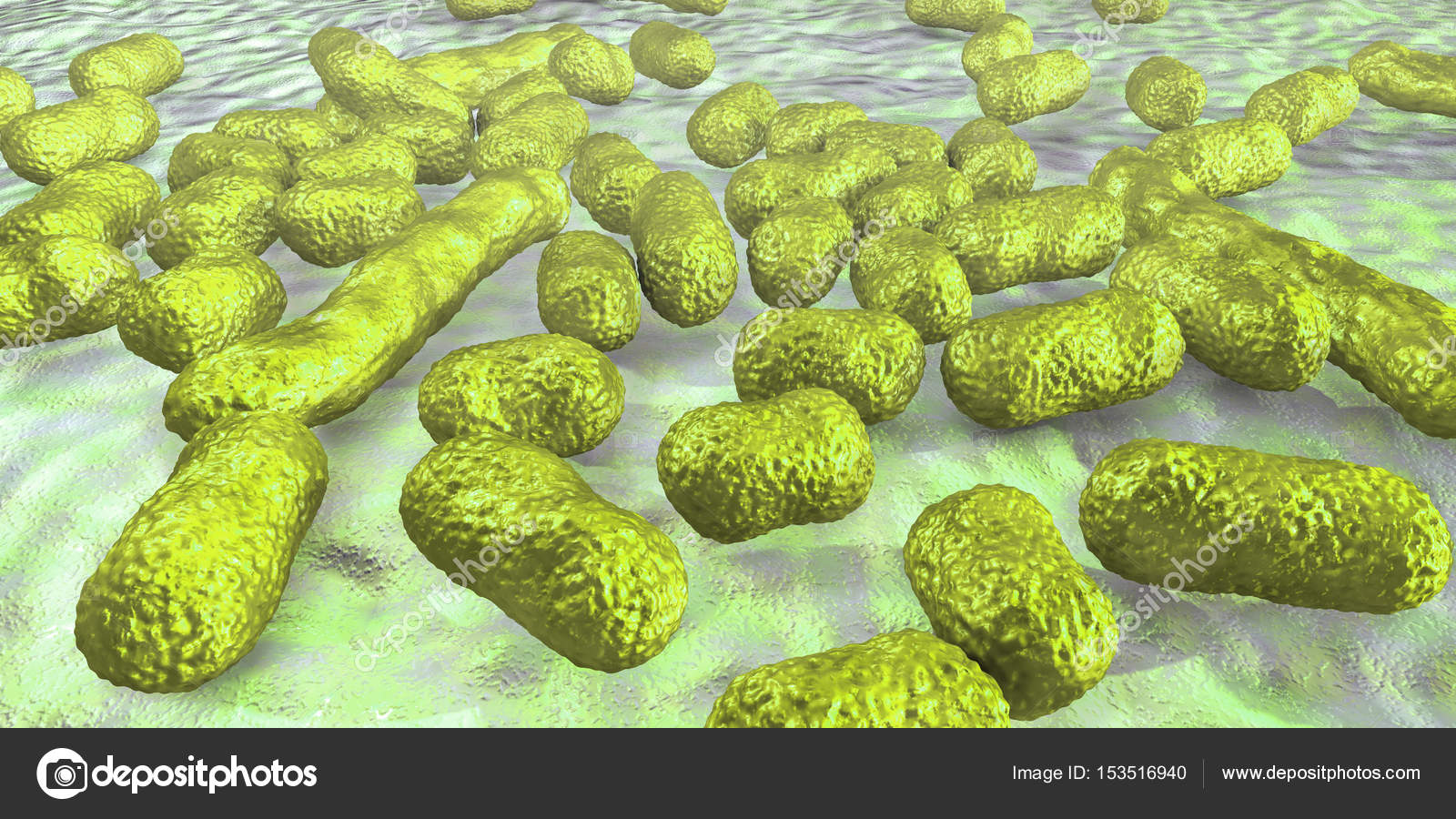 Bacterium Acinetobacter baumannii — Stock Photo © katerynakon #153516940 Bacterium Acinetobacter baumannii — Stock Photo © katerynakon #153516940
