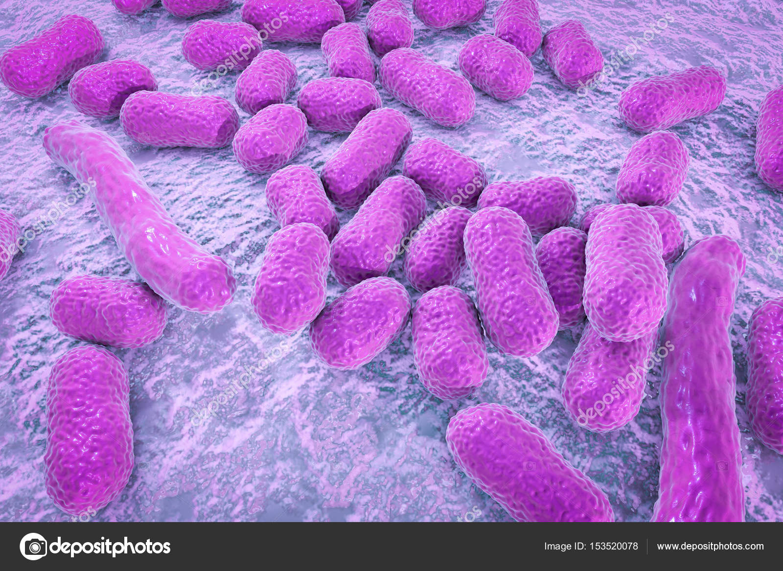 Bactéria Acinetobacter baumannii — Fotografias de Stock © katerynakon ... Bactéria Acinetobacter baumannii — Fotografias de Stock © katerynakon ...