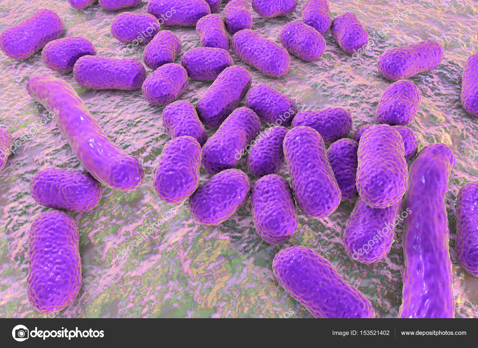 Bacterium Acinetobacter baumannii Stock Photo by ©katerynakon 153521402 Bacterium Acinetobacter baumannii Stock Photo by ©katerynakon 153521402