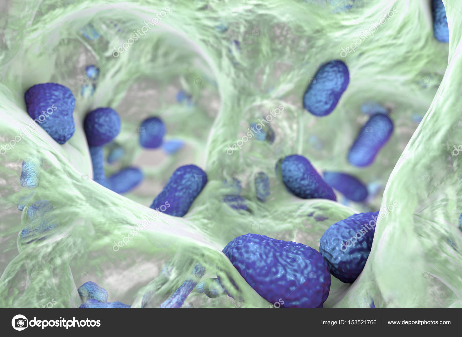 Bacterium Acinetobacter baumannii inside biofilm Stock Photo by ... Bacterium Acinetobacter baumannii inside biofilm Stock Photo by ...