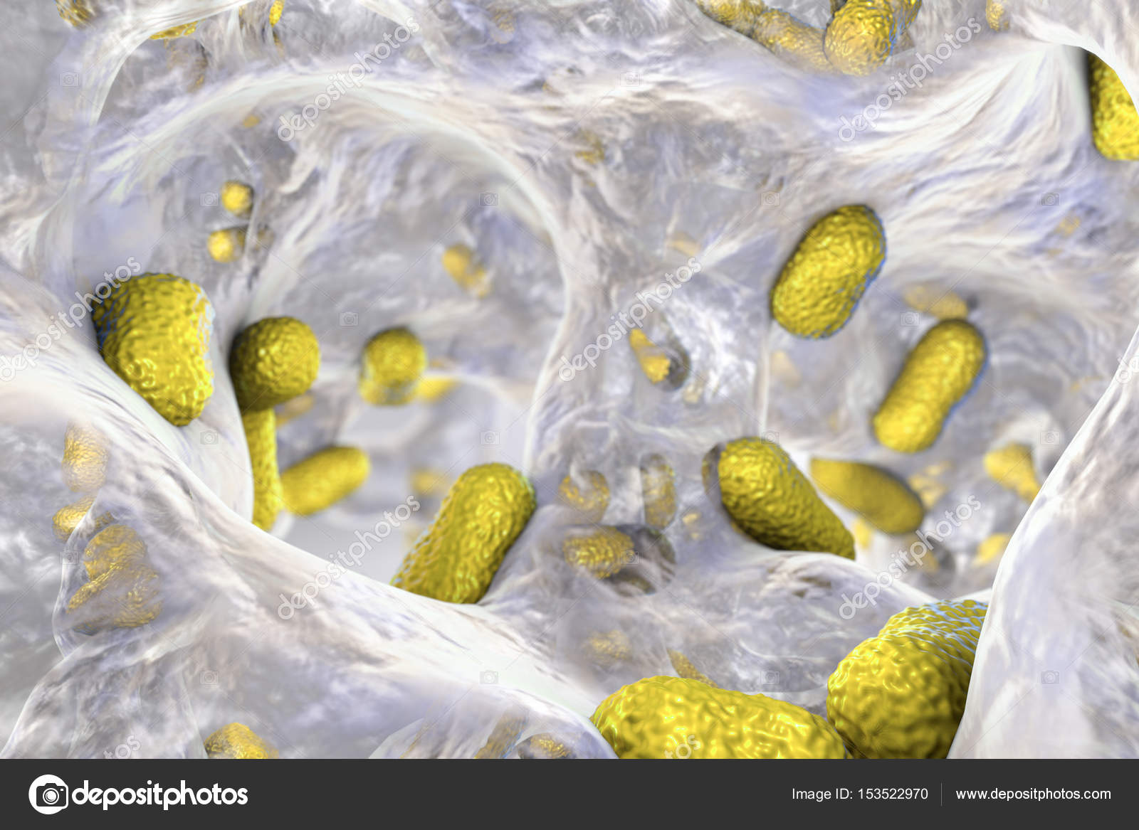 Bacteria Acinetobacter baumannii dentro del biofilm: fotografía de ... Bacteria Acinetobacter baumannii dentro del biofilm: fotografía de ...