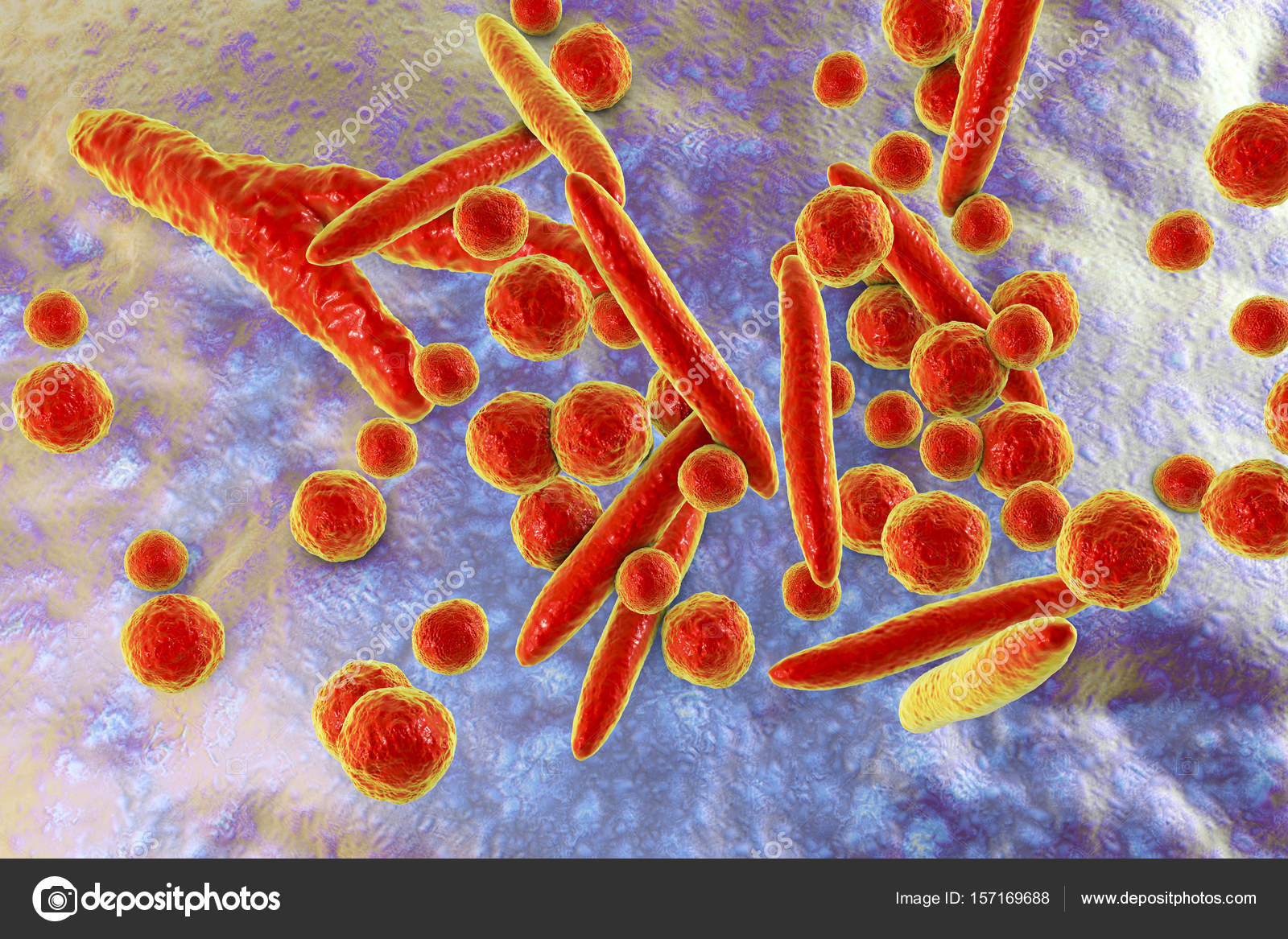 Mycoplasma bacteria, illustration Stock Photo by ©katerynakon 157169688