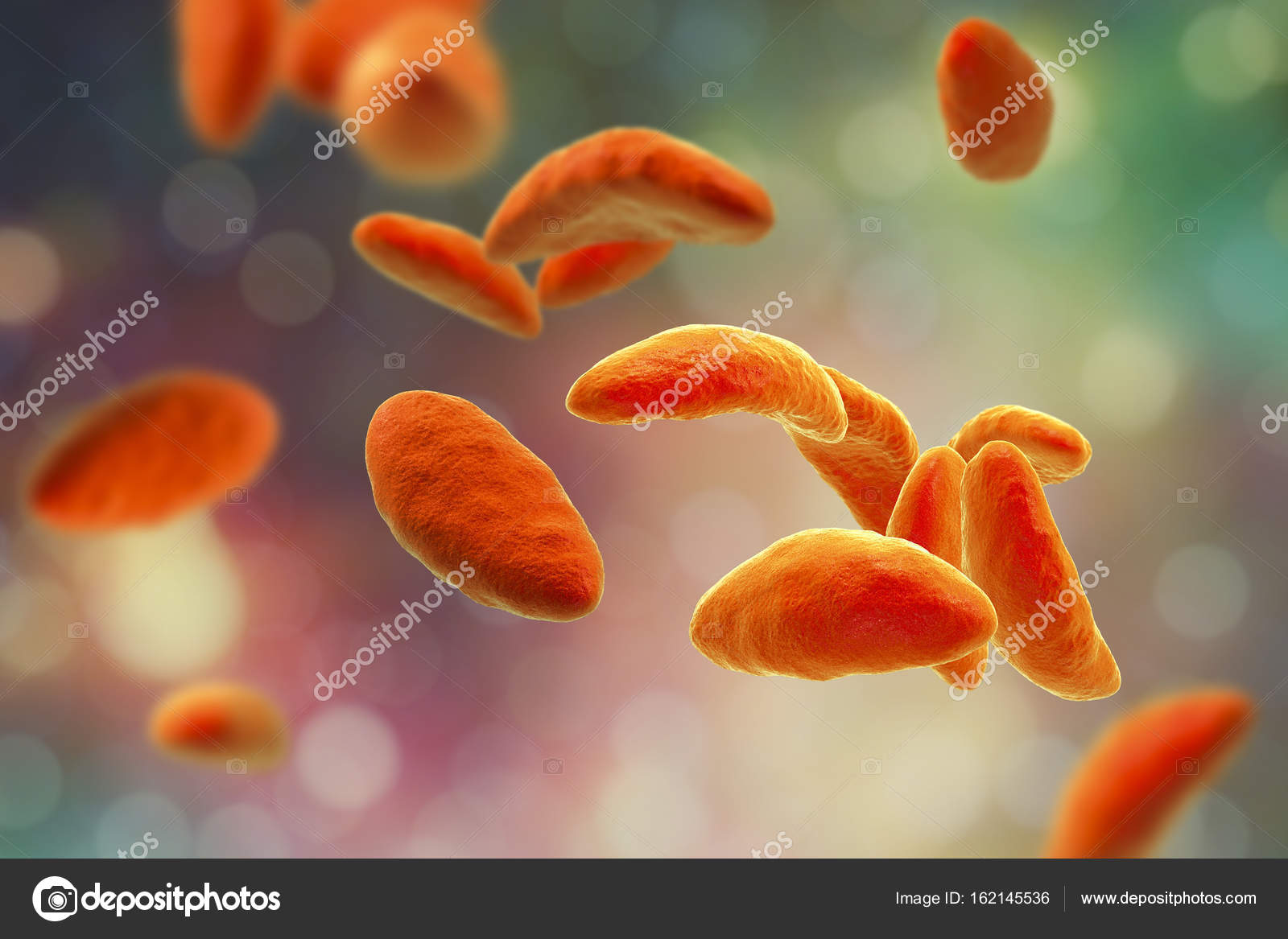 Protozoos parasitarios Toxoplasma gondii — Foto de stock © katerynakon #162145536