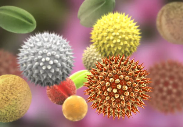 Pollen grains from different plants - Stock Image - Everypixel