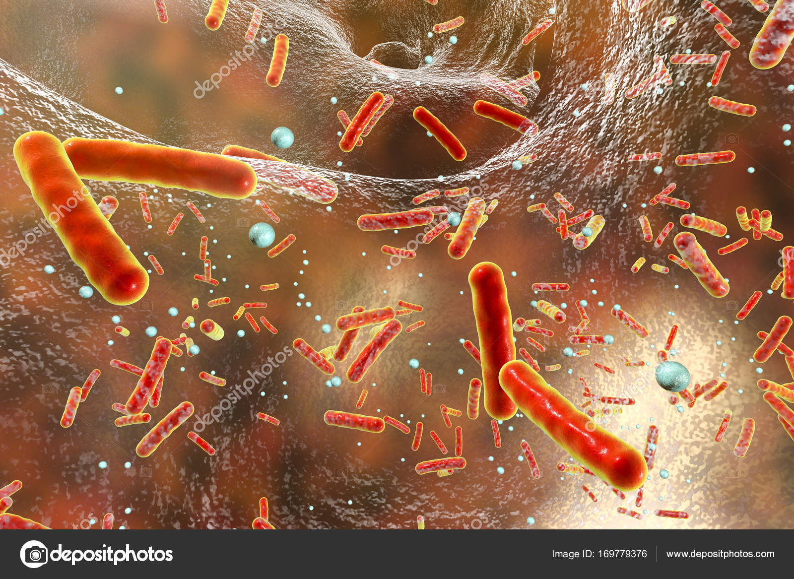 Multidrug resistant bacteria inside a biofilm — Stock Photo ...