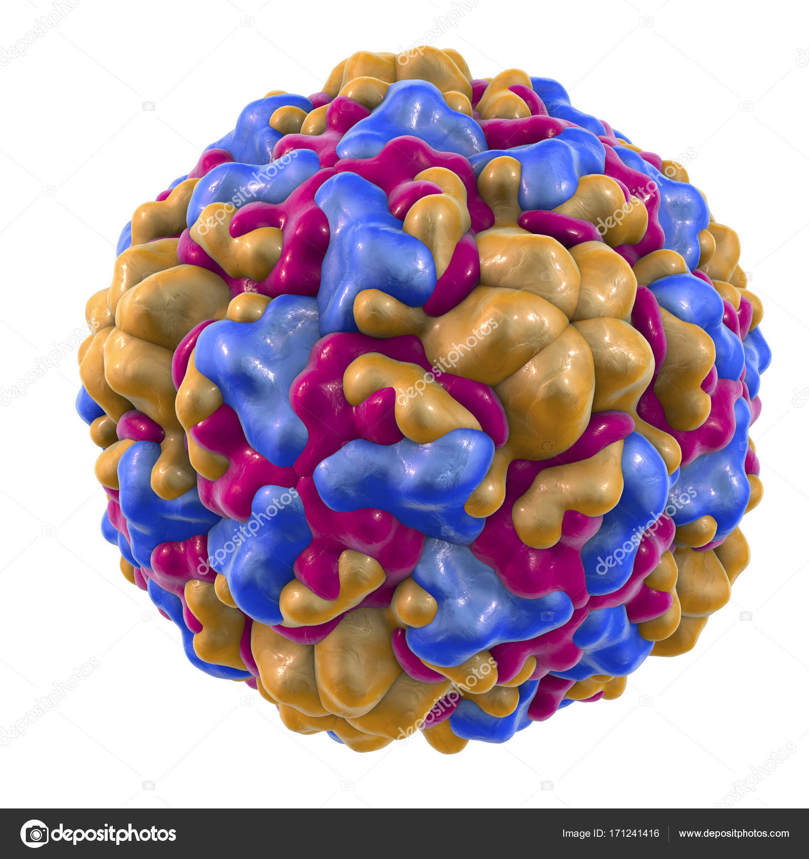 Diagrama De Rinovirus