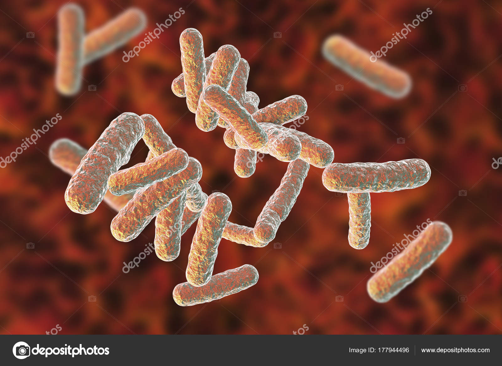 Human pathogenic bacteria Stock Photo by ©katerynakon 177944496