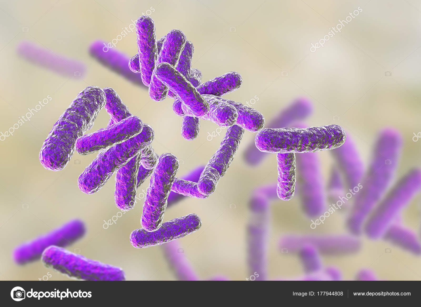 Human pathogenic bacteria Stock Photo by ©katerynakon 177944808