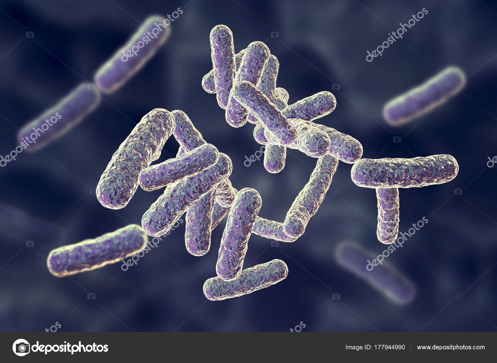 Human pathogenic bacteria Stock Photo by ©katerynakon 177944990