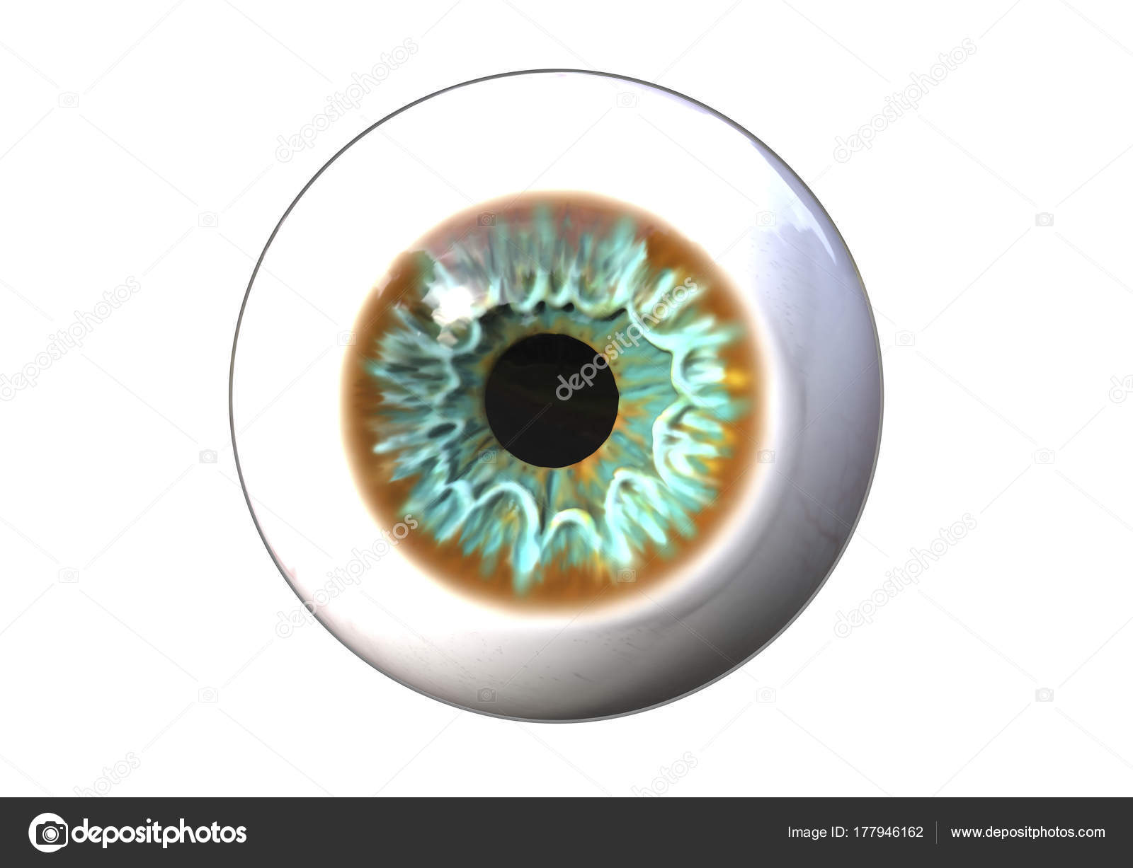 Realistic human eye Stock Photo by ©katerynakon 177946162