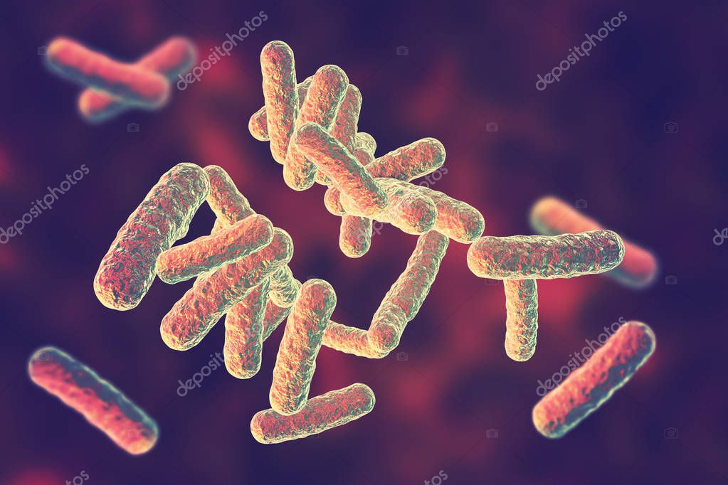 Human pathogenic bacteria — Stock Photo © katerynakon #177944566