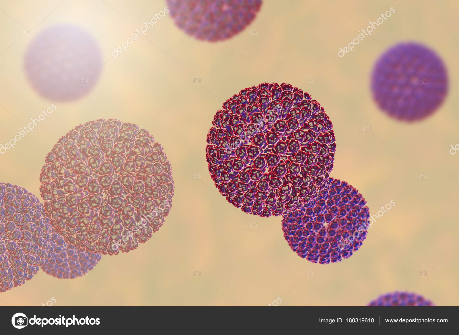 Rotaviruses. Molecular model of a rotavirus which causes diarrheal ...