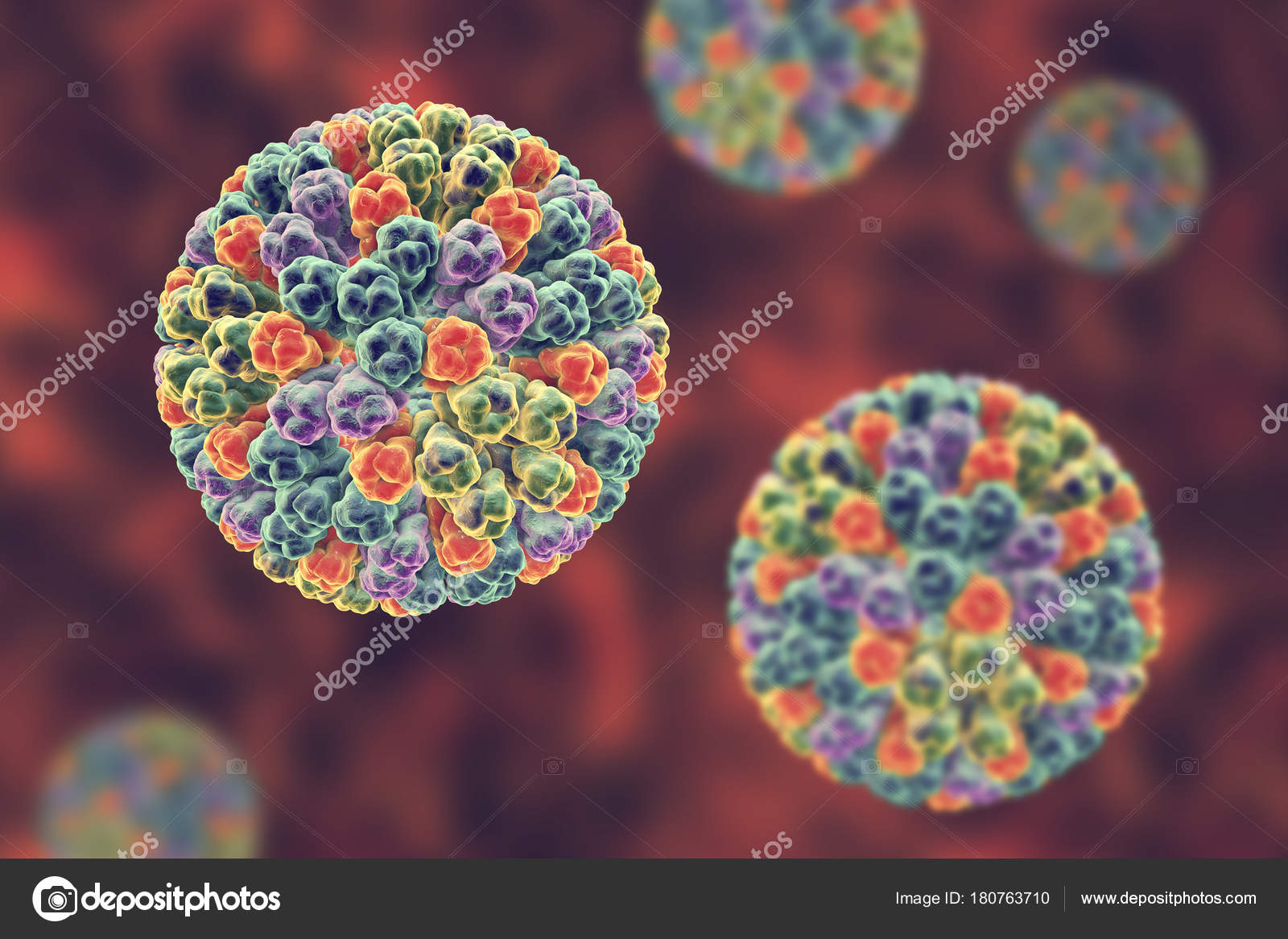 Molecular model of a rotavirus which causes diarrheal infection in ...
