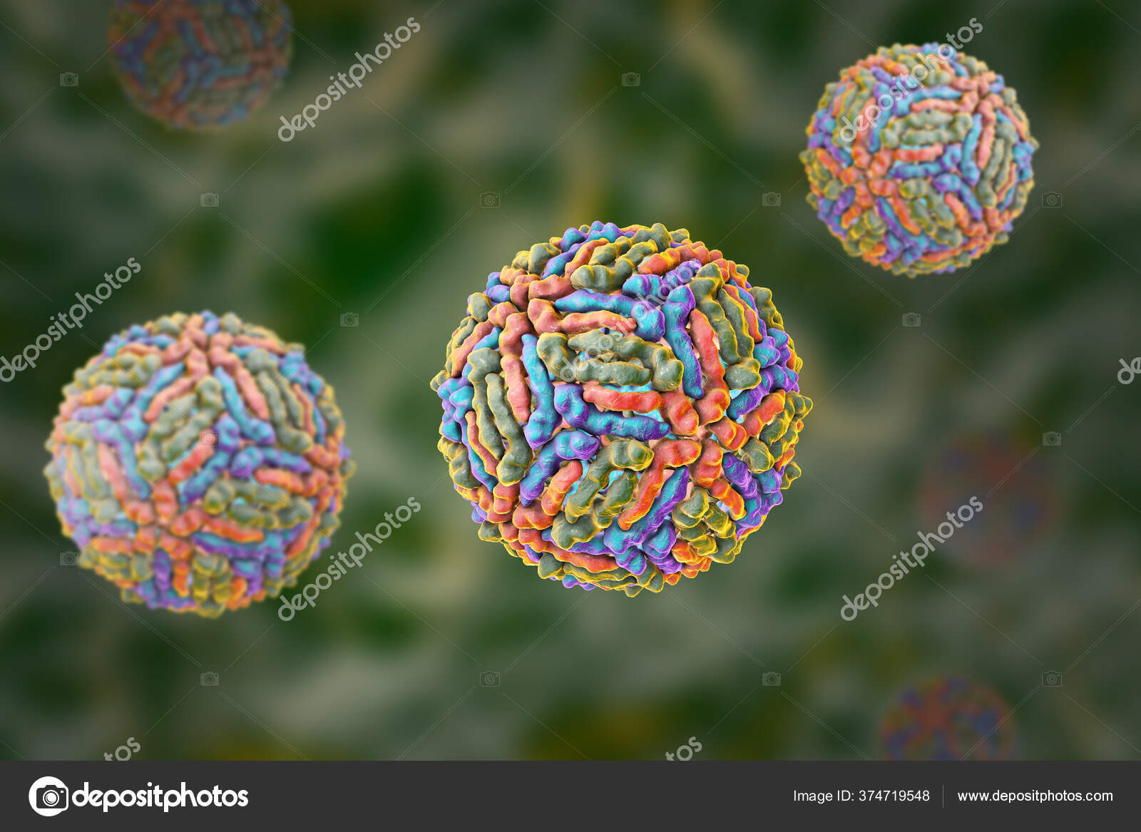 West Nile Virus Under Microscope