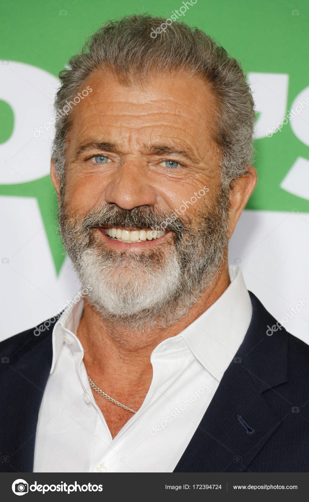 Mel Gibson Beard Expendables