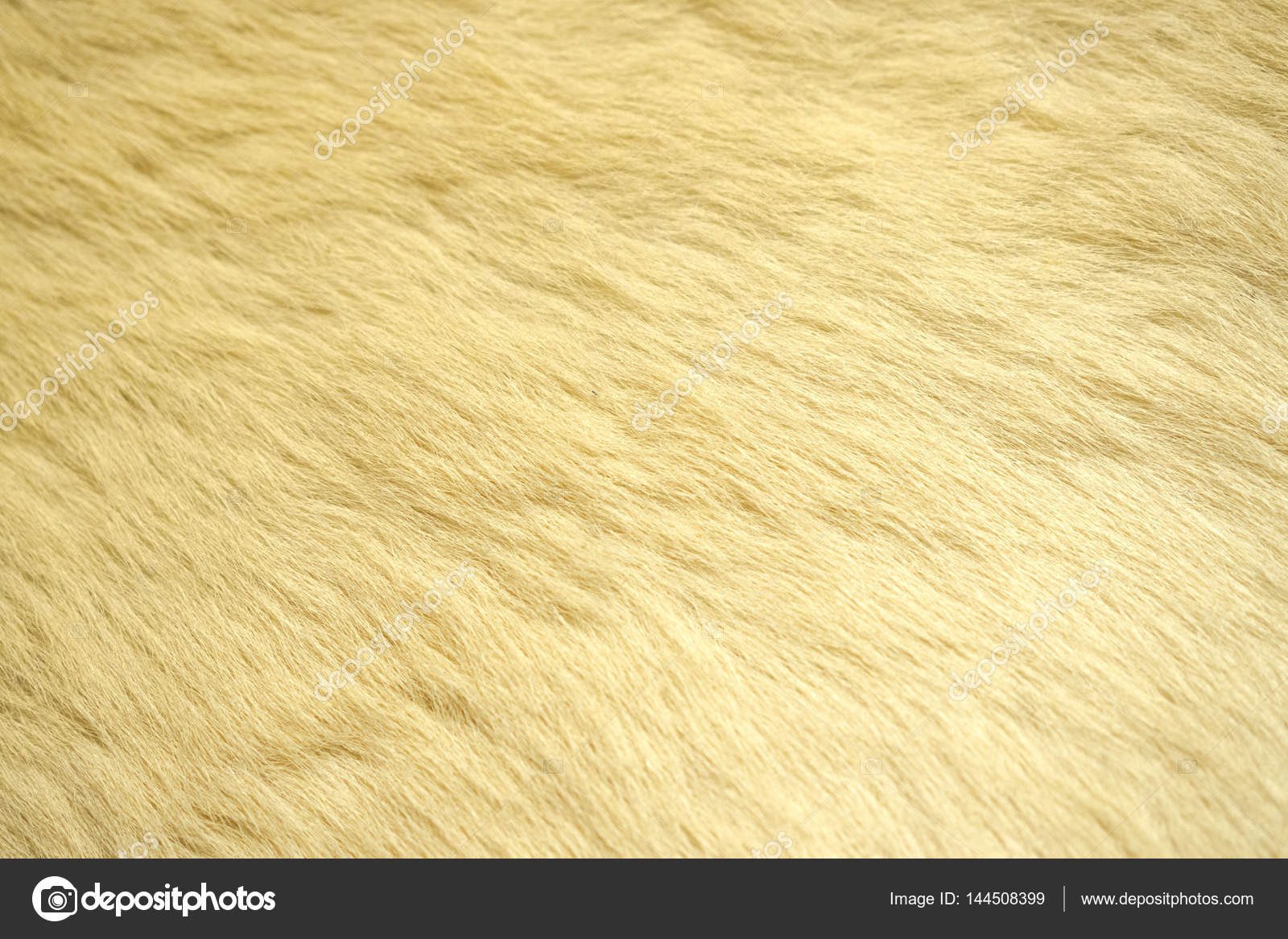 Beige fur texture — Stock Photo © somjaicindy@gmail.com #144508399
