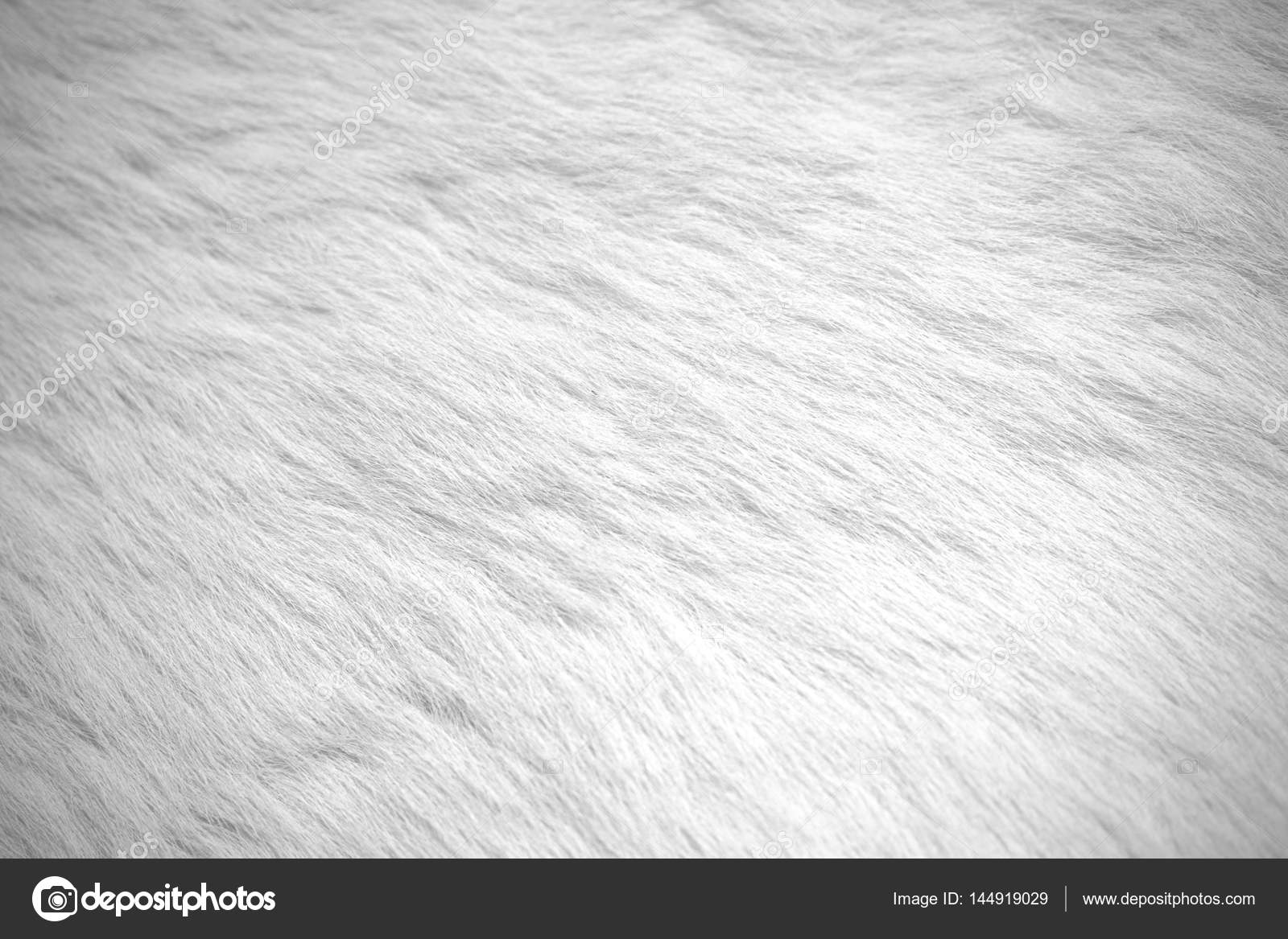 White fur background. Stock Photo Stock Photo by ©somjaicindy@gmail.com ...