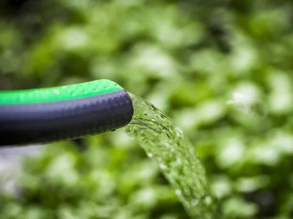 Green water hose Stock Photos, Royalty Free Green water hose Images ...