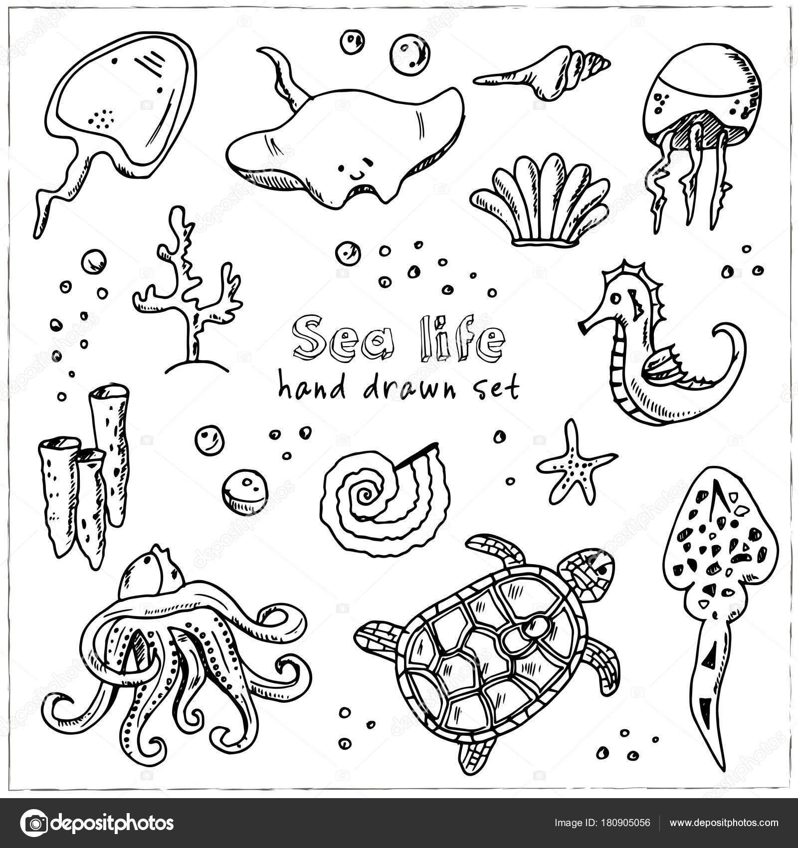 Hand drawn doodle sea life set. Stock Vector Image by ©Fafarumba #180905056