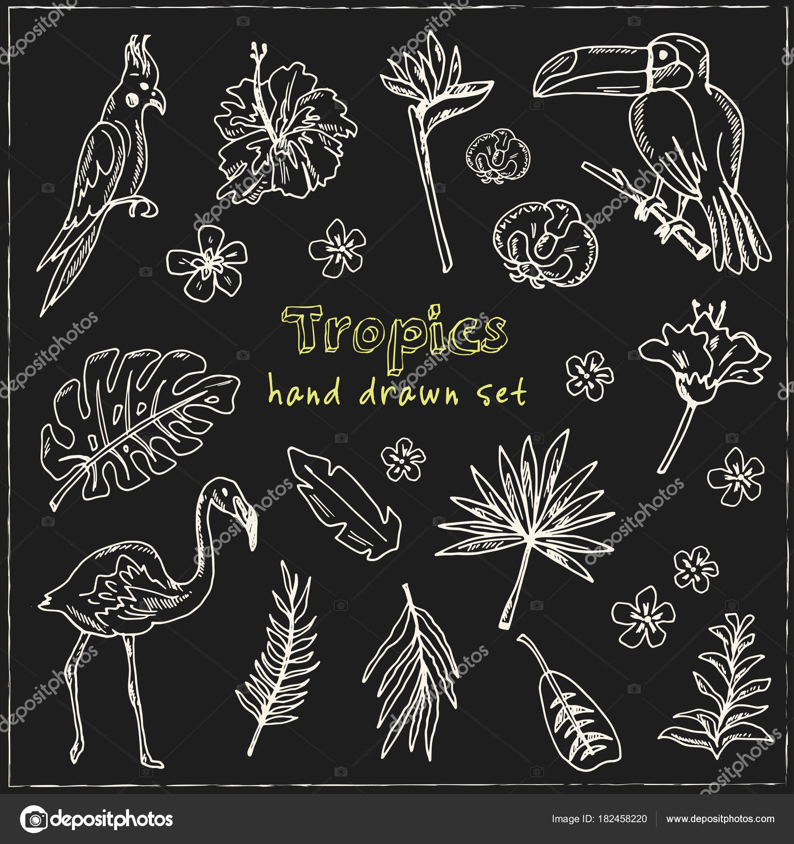 Hand drawn doodle tropics set Stock Vector Image by ©Fafarumba #182458220