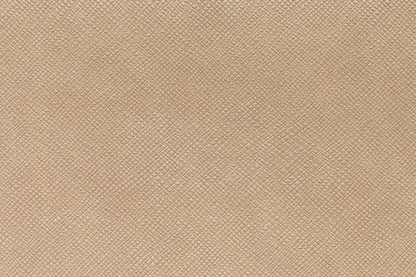 Texture of brown lether like an Elephant skin - Stock Image - Everypixel