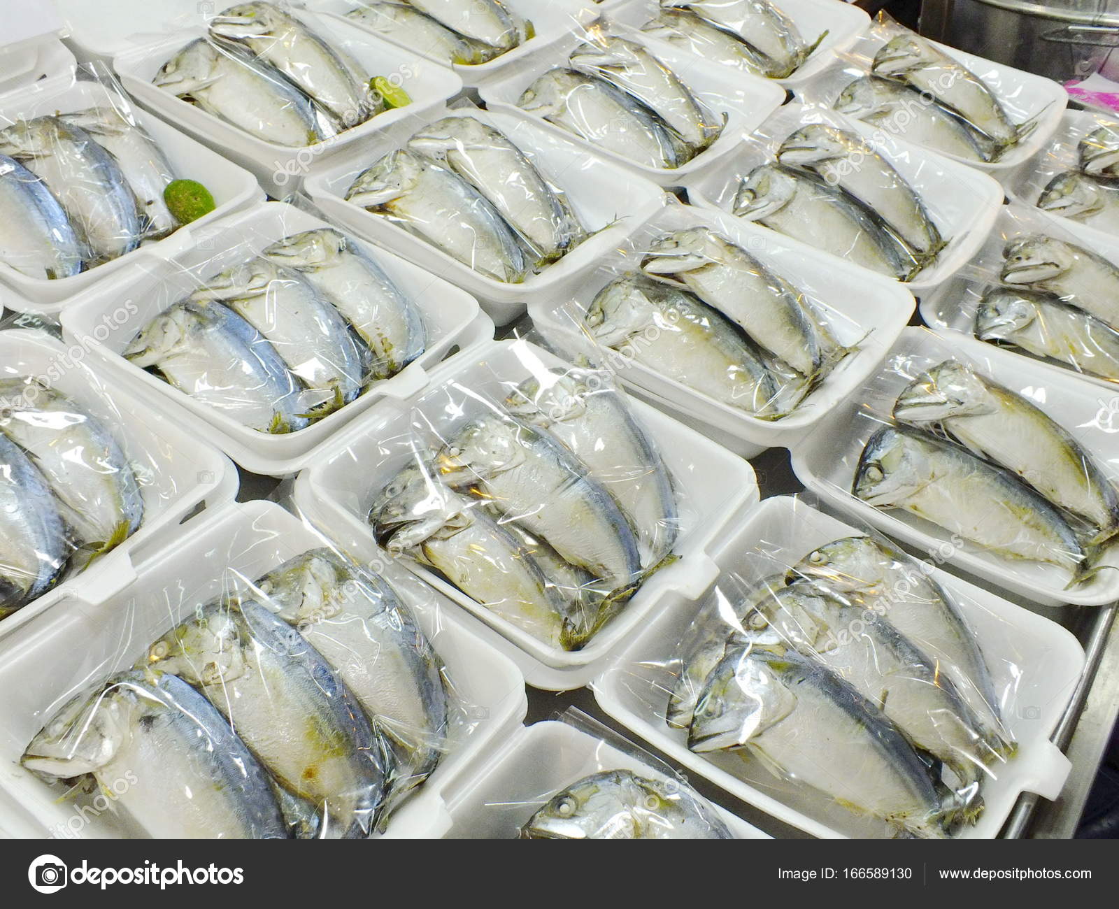 Group of mackerel fish with package for sell at market — Stock Photo ...