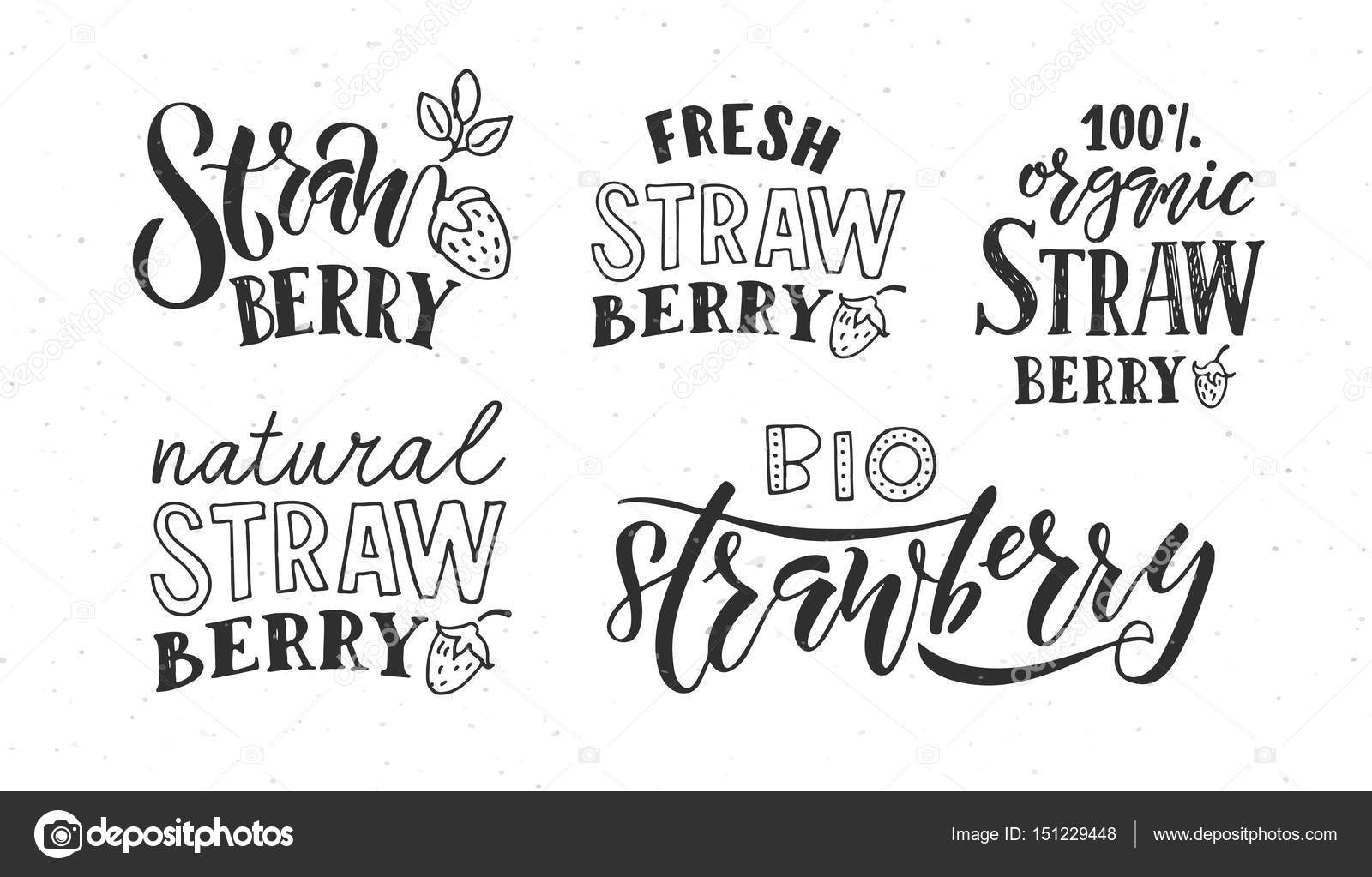 Strawberry lettering typography — Stock Vector © Svetana_Kurako #151229448