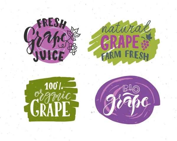 Grape lettering typography Stock Vector by ©Svetana_Kurako 151229180