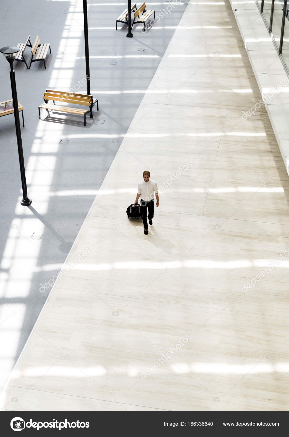 Handsome businessman holding a trolley Stock Photo by ©nd3000 166336640