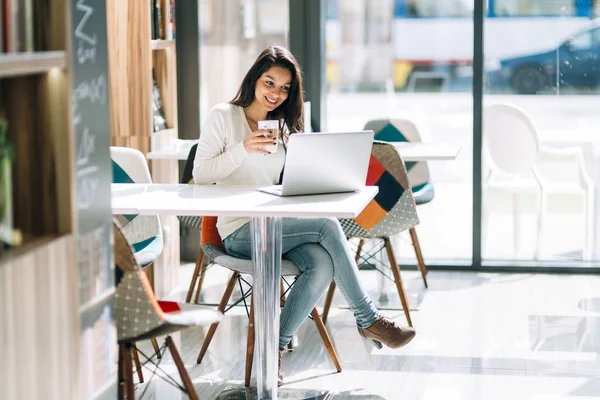 Brunette Studying Laptop Enjoying Coffee — Stock Photo © nd3000 #202207680